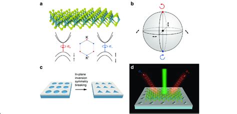 Schematics And Principle A Schematic Of The Ws 2 Monolayer And Optical Download Scientific