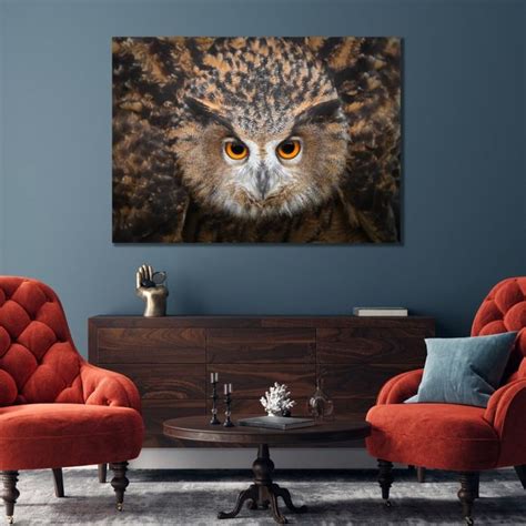 Шар шувуу фото