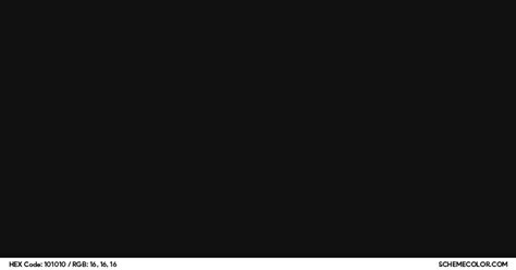 101010 Hex Color Code