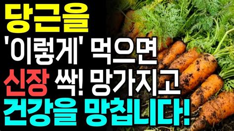 당근 절대 이렇게 먹지 마세요 자칫하면 신장이 망가질 수도 있습니다 당근과 함께 먹으면 보약보다 좋은 음식 Youtube