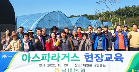 아스파라거스 재배 교육