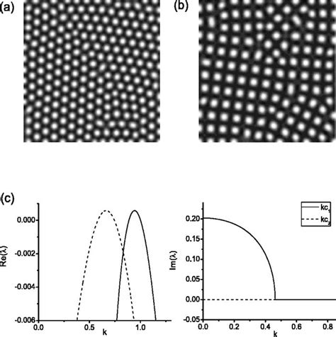 square turing patterns in reaction diffusion systems with coupled