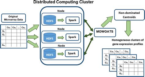 A Hybrid Multi Objective Whale Optimization Algorithm For Analyzing