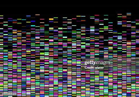 Dna Sequence Map High Res Vector Graphic Getty Images