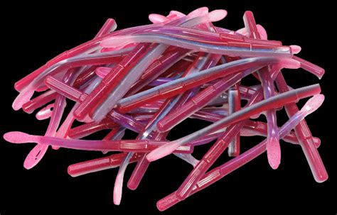 6 Bot Worm Open Pour Angling Ai