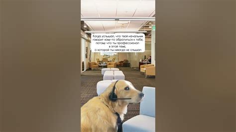 🤷‍♂️ работа офис сотрудник начальник коллега приколы вработе корпоративныйюмор