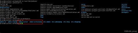 jenkins部署vue项目详细步骤 jenkins 部署vue csdn博客