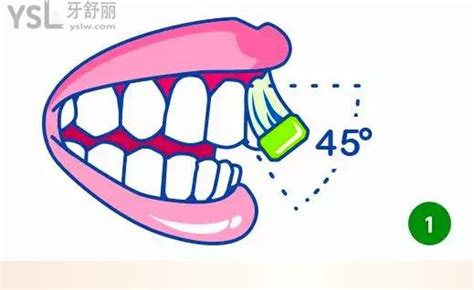 正确刷牙卡通图片 刷牙卡通图片顺序 正确刷牙图片 大山谷图库