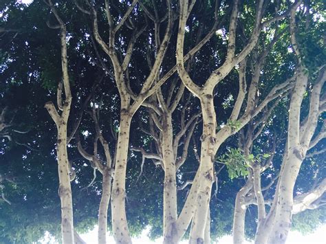 Vertical Pov5 Original Eyes Photography