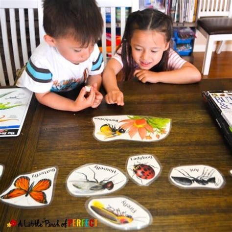 Bug Or Not Simple Sorting Tray For Learning About Insects