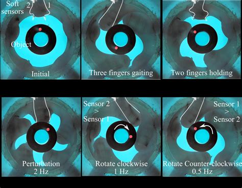 The Concept Of The Gaiting Of Soft Fingers To Rotate An Object With The Download Scientific