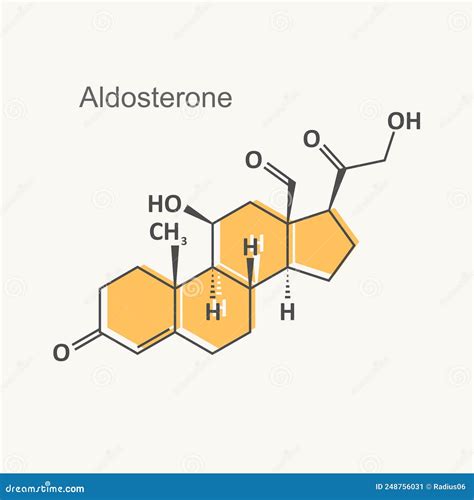 Reninâ€“angiotensinâ€“aldosterone System Cartoon Vector Cartoondealer