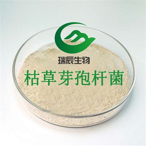 中文简体 产品中心 生物菌种 微生物菌种 酶制剂 潍坊瑞辰生物科技有限公司官网