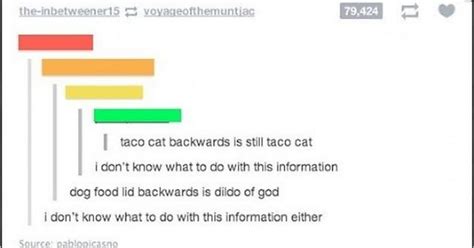 The Things You Learn Imgur