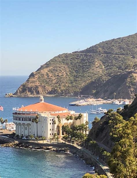 Unique Catalina Island Facts And Lingo