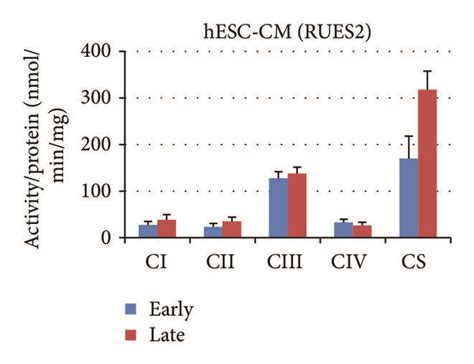 Respiratory Complex Activities In Hesc Cm Ac Hipsc Cm Df And