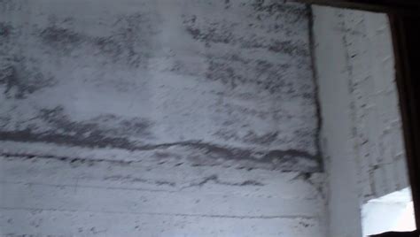 Toilet Primitive Toilet High Squat