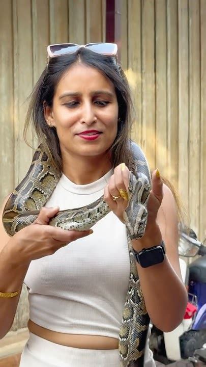 Pythonstatus 🐍 Youtube