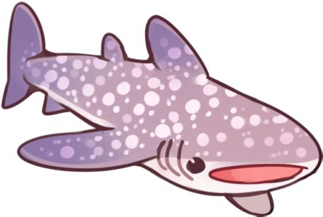 Download A Soft Shark For Your Considerations Cute Whale Shark Art