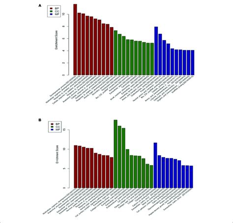 go enrichment based clustering analysis of the differentially