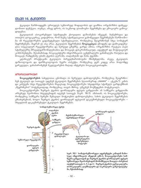 16 თავი ტკივილი Pdf