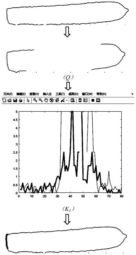 Machine Vision Based Carrot Surface Defect Identification And Quantification Method Eureka