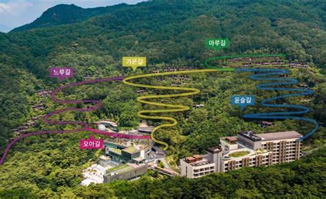 리솜리조트회원권 제천포레스트덕산스플라스안면도아일랜드 네이버 블로그