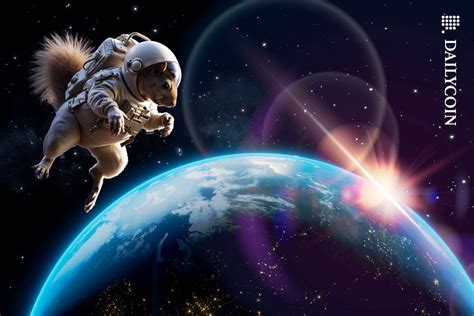 Peanut The Squirrel Pnut Jumps 269 After Musk Gives Hints Dailycoin