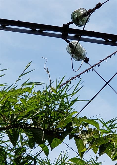 35 Tt Cach Dien Thuy Tinh Vo Tt Object Detection Dataset By Bdpc Ai Gd3