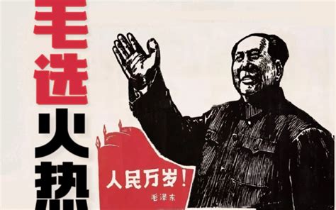 毛泽东的污名化中国化与再革命化 懒澡的杰基 懒澡的杰基 哔哩哔哩视频