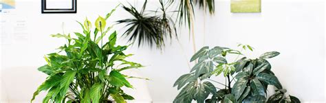 Careers Afi Automation For Industry