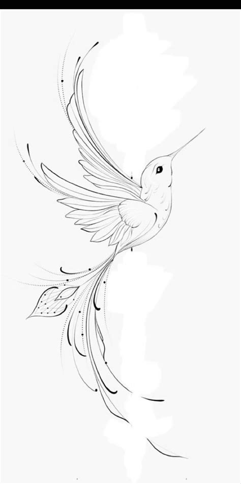 11 Hummingbird Drawing Ideas Hummingbird Drawing Pyrography Patterns