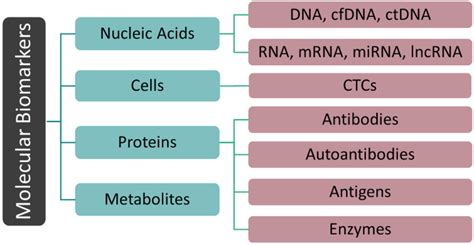 Types Of Molecular Biomarkers Used For Clinical Diagnosis Download