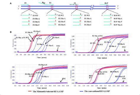Flexibility Of The Novel Mismatch Tolerant Rt Lamp To Various