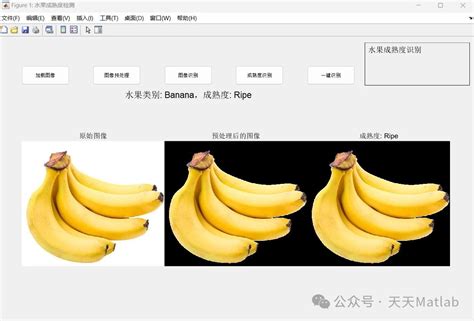 【水果识别】基于支持向量机svm实现水果成熟检测系统（含苹果 香蕉 橙子）附matlab代码和报告使用pcasvmknn做水果识别 Csdn博客