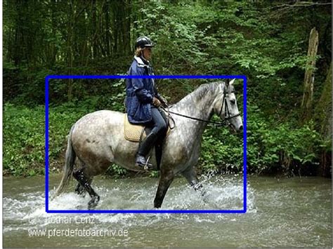 Object Detection Via A Multi Region And Semantic Segmentation Aware Cnn