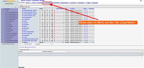 sichern von mysql mariadb datenbanken mit phpmyadmin rietschdesign