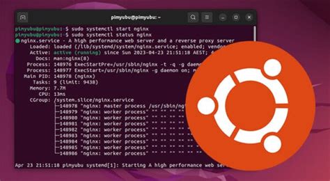 How To Restart Ubuntu Using The Terminal Pi My Life Up