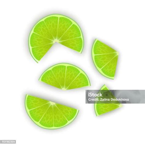 흰색 바탕에 신선한 라임 슬라이스 밝은 감귤 류의 세트 프로젝트에 대 한 라임 슬라이스 감귤류 과일에 대한 스톡 벡터 아트 및 기타 이미지 감귤류 과일 건강한 생활방식