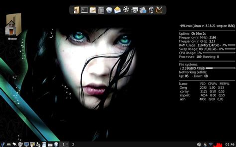 4mlinux 14 0 Independent Distro Enters Beta With Firefox 40 0 3 And Libreoffice 5 0 Softpedia
