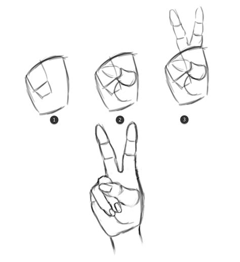 Как нарисовать руку поэтапно