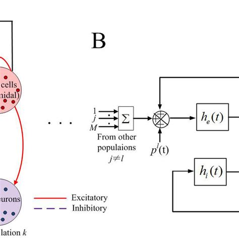 A The Structure Of The Neural Mass Model B Block Diagram Of The