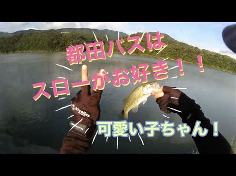 都田ダムのバスはスローお好き YouTube