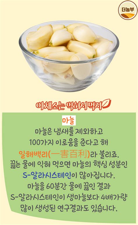 생으로 익혀서 샐러드 야채 효과적으로 먹는 방법 네이버 포스트