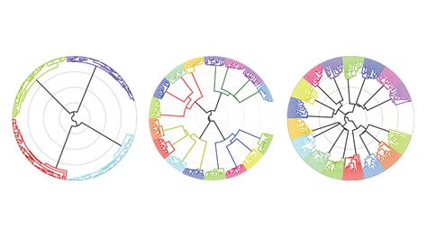 New Classification Method Identifies Communities Faster In Complex
