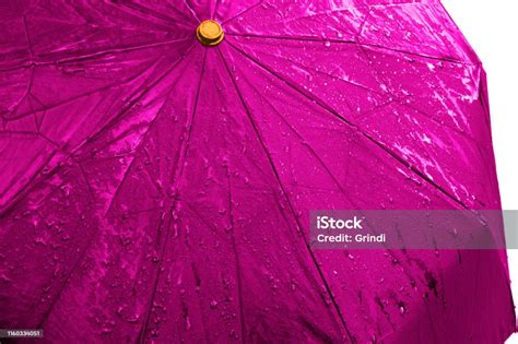 젖은 분홍색 우산은 고립 된 배경에 이미지를 닫습니다 물 방울과 튀김 방수 직물 천 좋은 또는 나쁜 날씨 개념입니다 사계절비가 내림에 요됩니다 보호 및 순도 0명에 대한