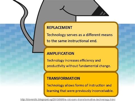 Rat Model Explained By Esther Casey
