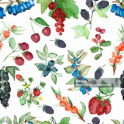 블루 베리 블루 베리 블랙 베리 블랙 건포도 체리 딸기 크랜베리 바다 갈매 나무속 붉은 건포도 베리 프린트와 수채화 손 그린 자연 정원 식물 원활한 패턴 0명에 대한 스톡