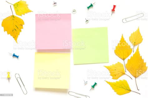 학교 문구와 노란색 단풍은 흰색에 고립 학교 개념으로 돌아갑니다 공간을 복사합니다 맨 위 보기 이미지 10월에 대한 스톡 사진 및 기타 이미지 Istock