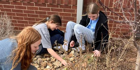 News Maple School District